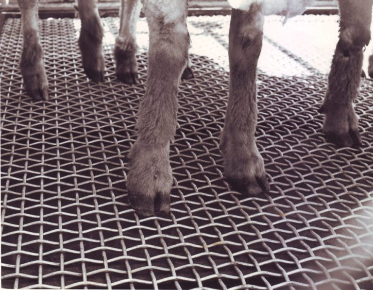 Grating Pattern A 25x3 Loadbar, 993x5800mm - Meshstore